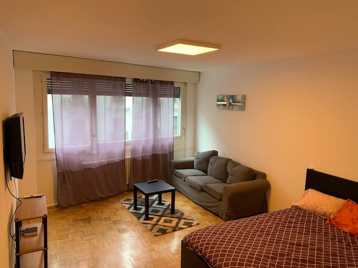 Studio 1,5 Pièces Au Centre De Genève(plainpalais) - Ginebra