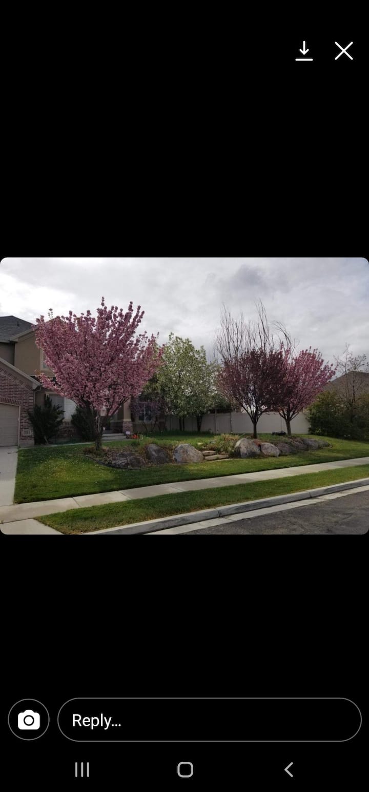 Large, Luxurious Salt Lake Home With Everything! - South Jordan, UT