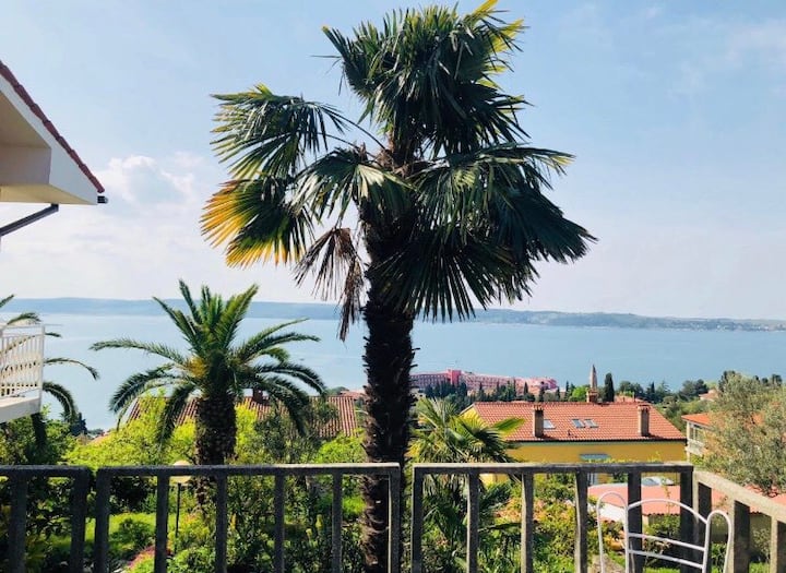 Rooms Murko 1 - Portorož
