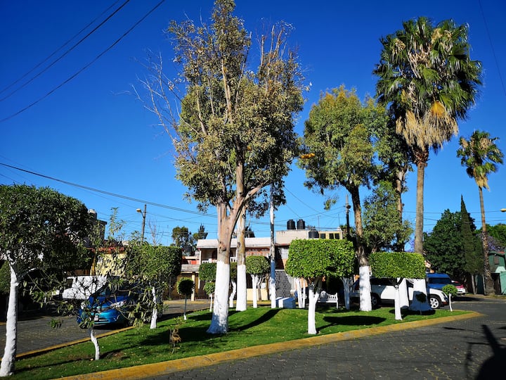 3 Nice Lofts Close To T1&2 Cdmx Airport & Downtown - Morelos