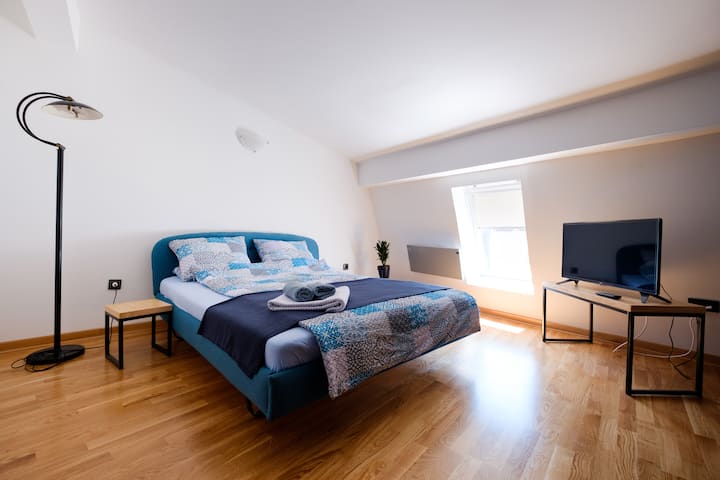 Modern Belgrade Apartments Promo 1st S/s - Belgrado