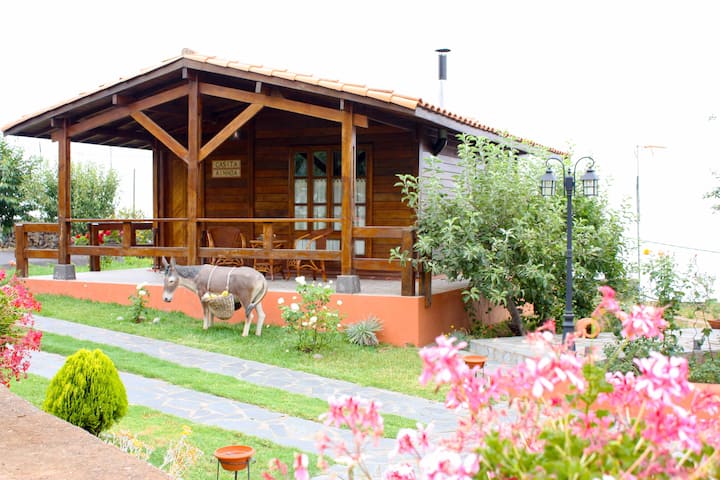 Casita Ainhoa - La Orotava