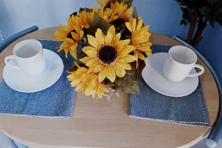 Modern Micro Studio - Lighthouse Point, FL