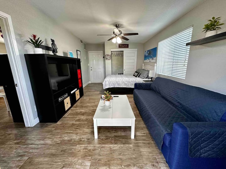 Top Rated Detached Home! Modern Design (No Cats) - Phoenix, AZ