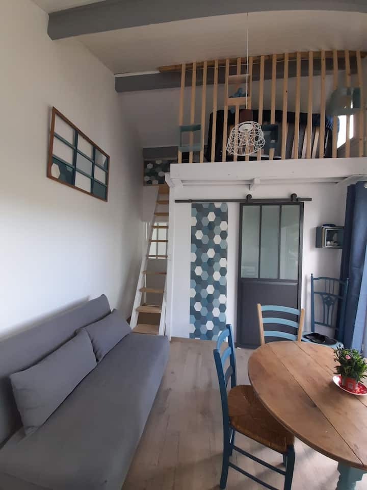 Studio Indépendant Avec Jardin Proche La Palmyre - La Palmyre