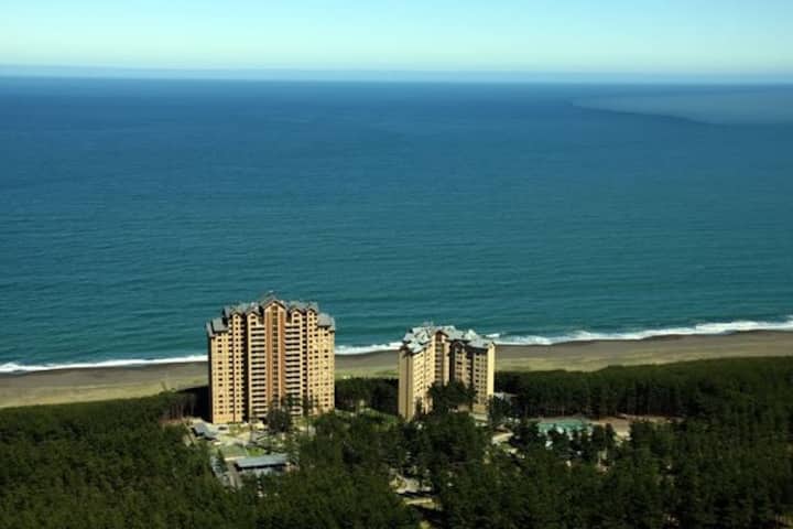 Modern Apartment With Sea View - Coronel