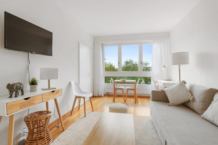 Beautiful And Totally Renewed/furnished Apartment - Geneve