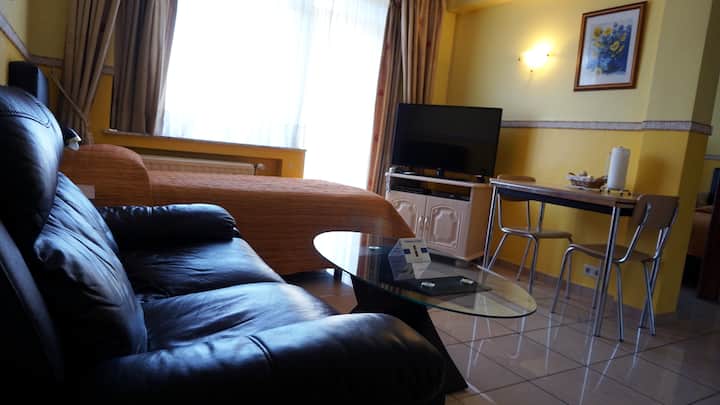 Private Mimosa Apt -Brussels Midi Station & Center - Brussels