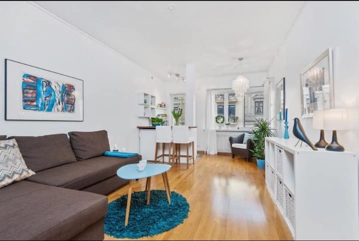 Beautiful Studio Apt. In The Heart Of Oslo! - Oslo