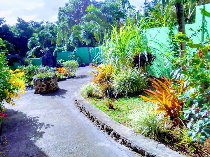 Freelance Feeling How Local Live - Dominica