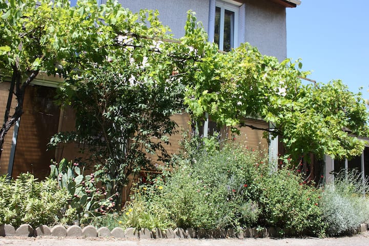 Maison Lumineuse Avec Jardin Arboré - カルカッソンヌ