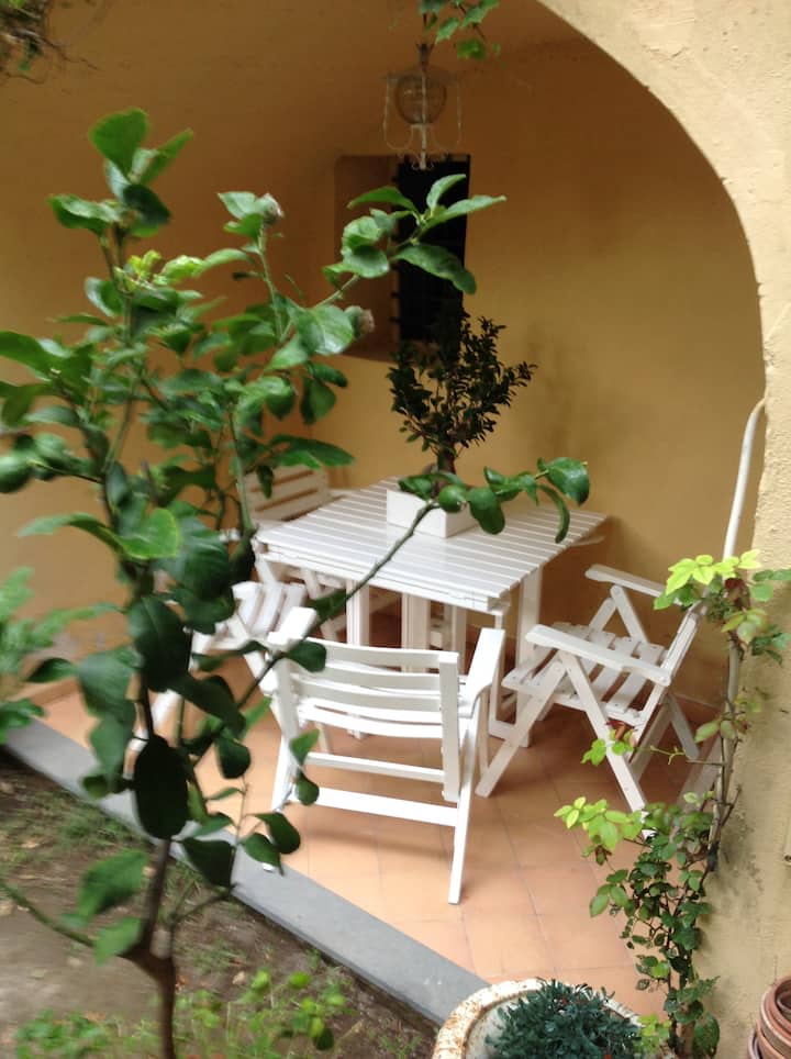 Small Garden (New!! Near " The Sunny Mansard") - Positano