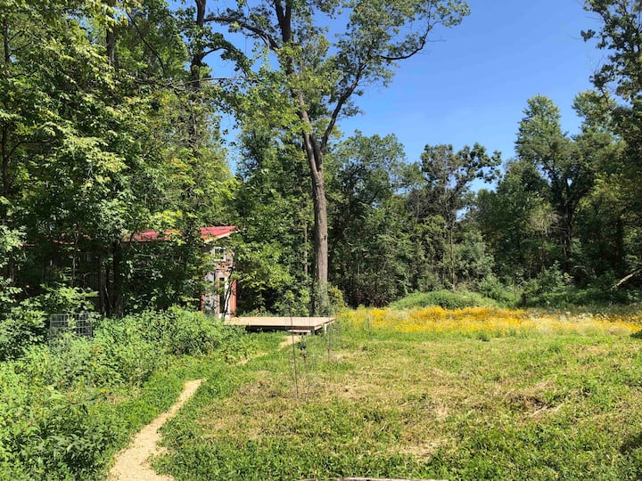 Little House On The Pretty!   Tiny Home In Woods - Viroqua, WI