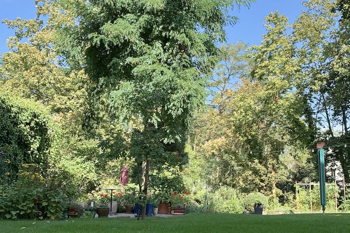 Ruhige 1-zimmer-wohnung In Okerlage/tu Bs - Braunschweig