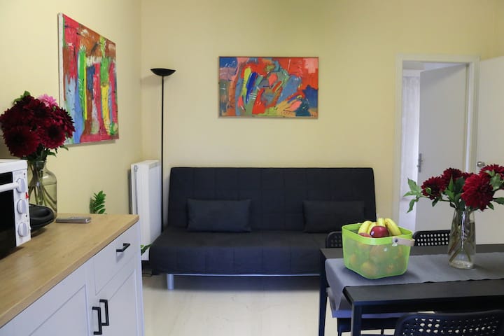 Two Bedroom Apartment In The City Center - Cephalonia