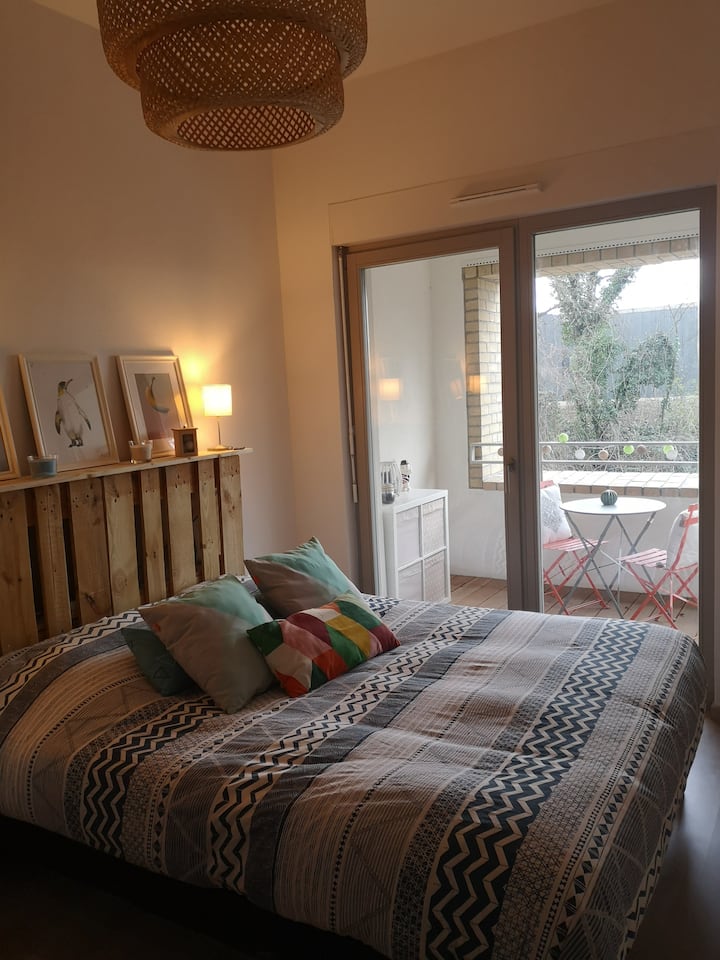 Très Belle Chambre Avec Terrasse - Estrasburgo