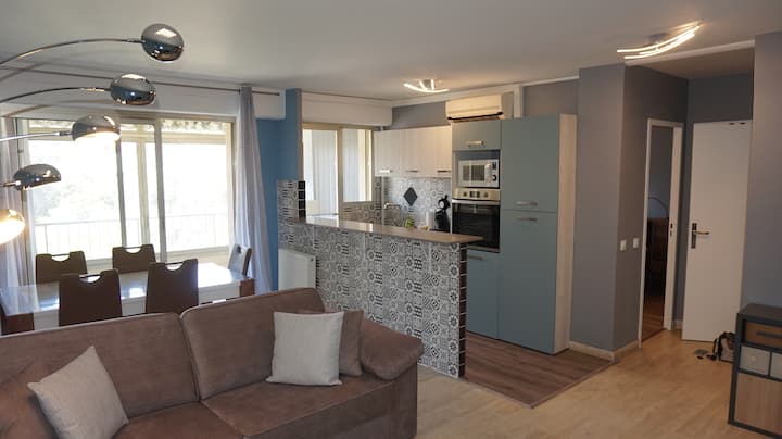 Superbe Appartement 1 Chambre 46m² Centre Cannes ! - Cannes