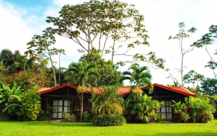 Bungalows Terraza 1 Cama Queen - La Fortuna