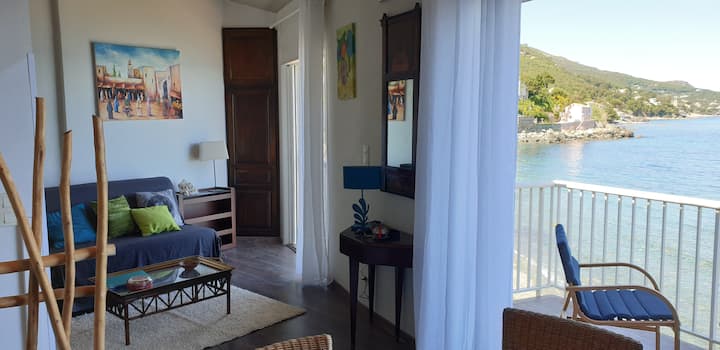 Appartement Sur La Plage - Brando