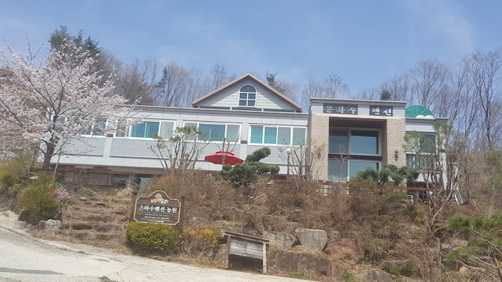 독채 (16인) - 영동읍