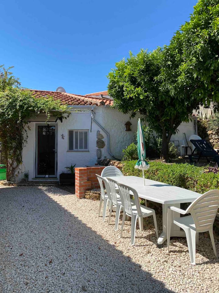 Luz Das Estrelas, With Salt Water Swimming Pool. - Proença-a-Nova