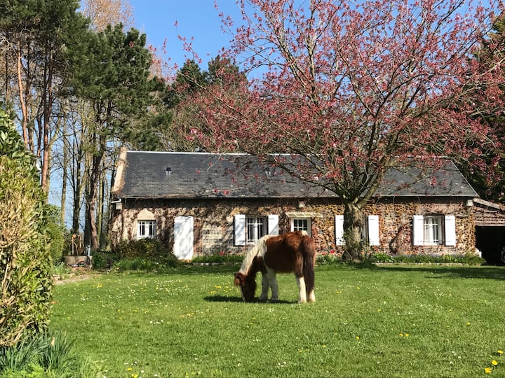 Maison De Campagne Sur Les Falaises De Saint Jouin - Étretat