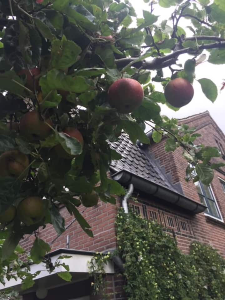 Charming Family Home Near The Beach. - Haarlem
