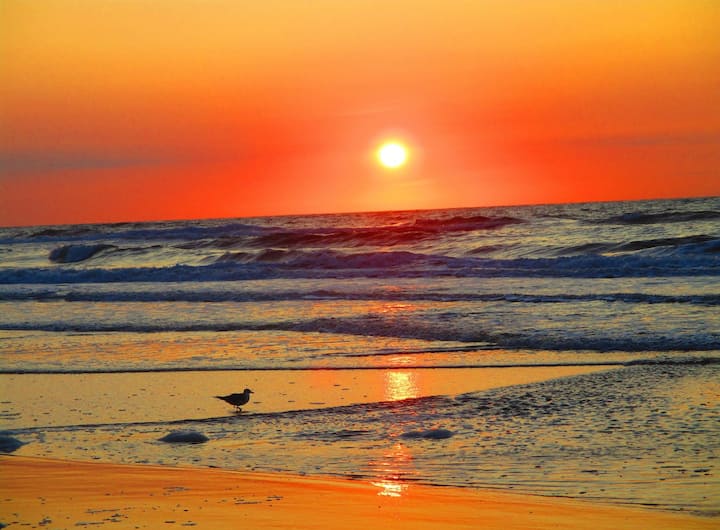 Wildwood Crest Ocean View Condo - Wildwood Crest, NJ