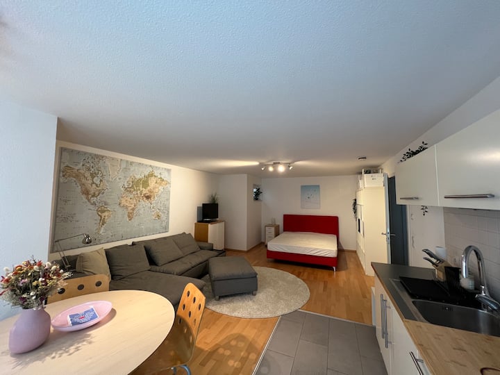 Ruhiges 1 Zimmer Appartement - Dossenheim