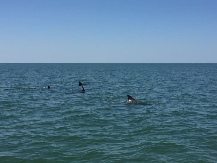 Waterfront Crystal River Home With Pool 4600 Sq Ft - Crystal River, FL