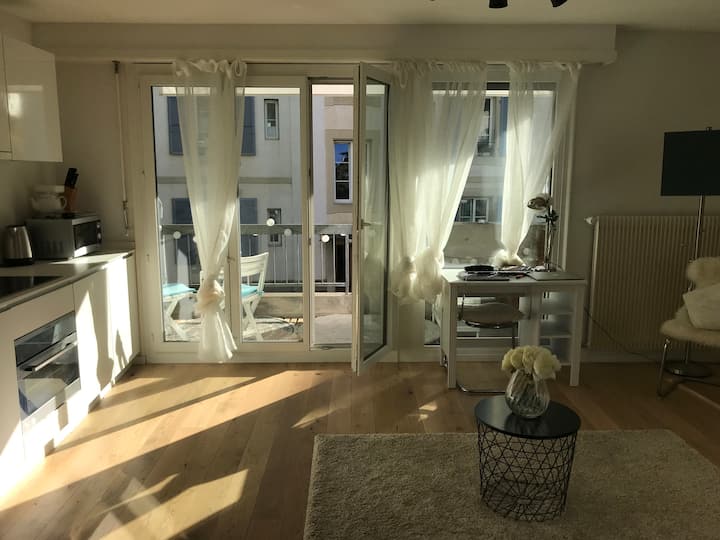 Luminous, Large Studio In Sous-gare (Mont-tendre)! - Lausanne
