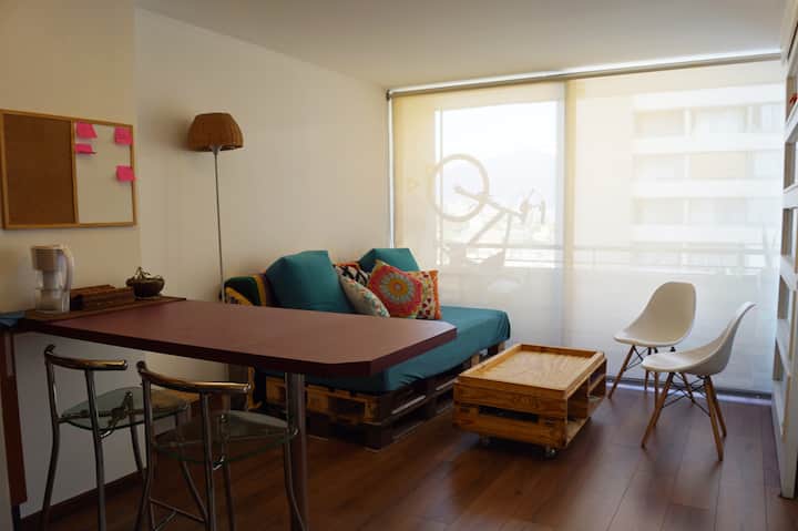 Apartment In Downtown - Santiago