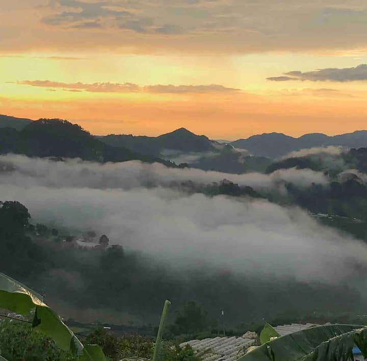 Scenic View Guesthouse - La Trinidad