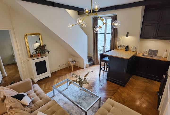 Duplex Haussmannien Near Champs  Elysées,tuileries - Paris