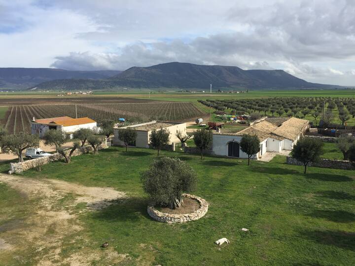 Ville In Azienda Agricola - San Severo