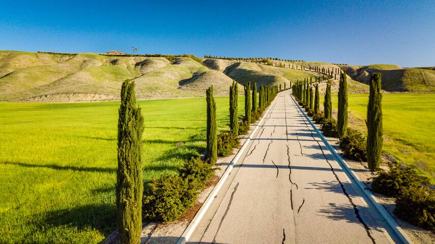 The Shandon House - Houses for Rent in Shandon, California, United States