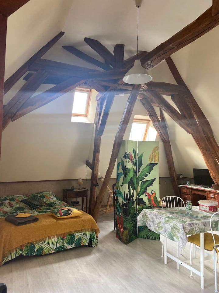 Nevers Centre  «&nbsp;Coeur De Loire&nbsp;» Avec Jardin - Nevers