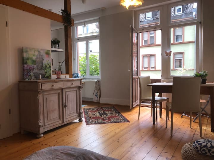 Charmantes, Zentrales Apartement - Heidelberg