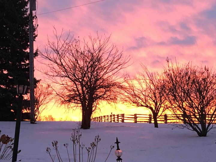 Estate Farm Property Minutes To Collingwood/blue - Creemore