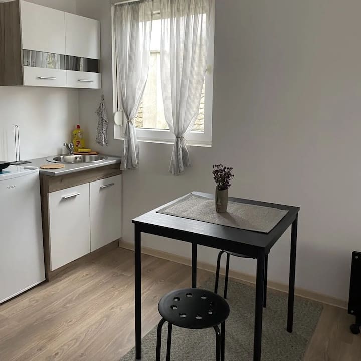 Studio Centar Surcin - Belgrade Nikola Tesla Airport (BEG)