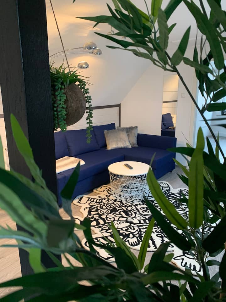 Apartement Rosa - Wilhelmshaven