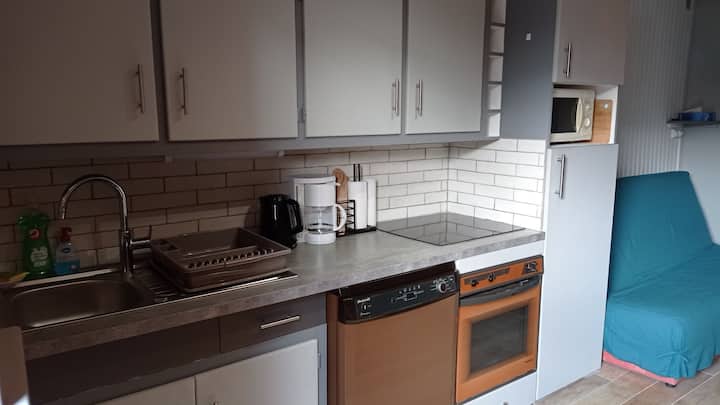 Appartement En Duplex Refait à Neuf - Puy de Sancy