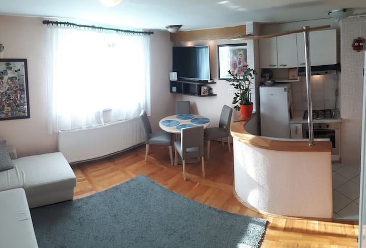 Your Private Room - Peacefull Oasis In Zagreb - Zagreb