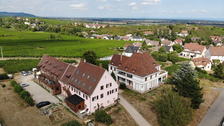 Appartement Avec Vue Sur Les Vosges Et Le Vignoble - Kaysersberg