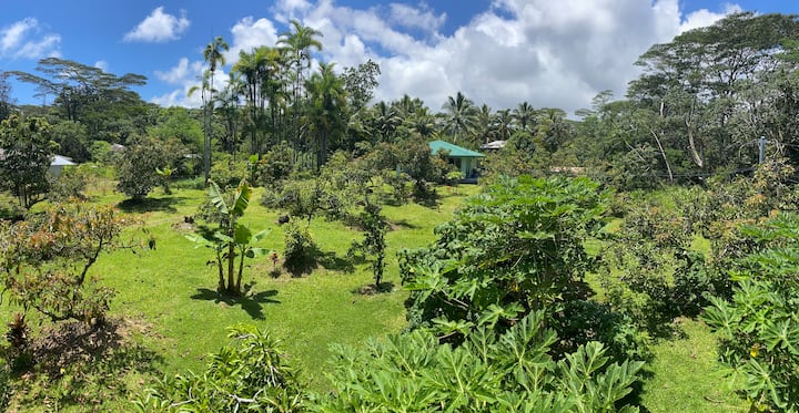 Avocado Acre 
(2 Adults/3 Kids Max). No Smoking - Hawaii