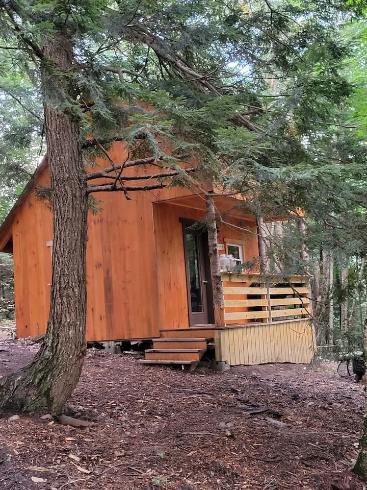 Cabin In The Woods. Relax, Unwind And Unplug! - Camden, ME