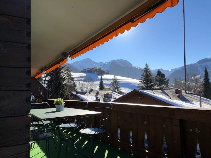 Beautiful And Confortable Flat With Mountain Views - Gstaad