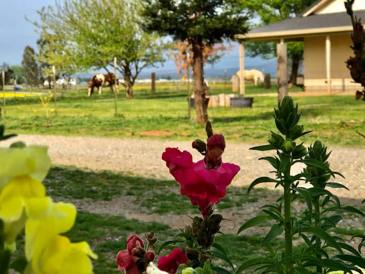 Bluff House - Red Bluff, CA