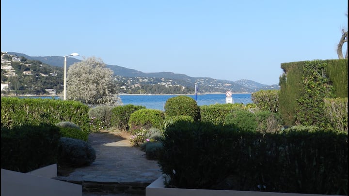 Appartement Les Pieds Dans L'eau à Saint Clair - Île du Levant