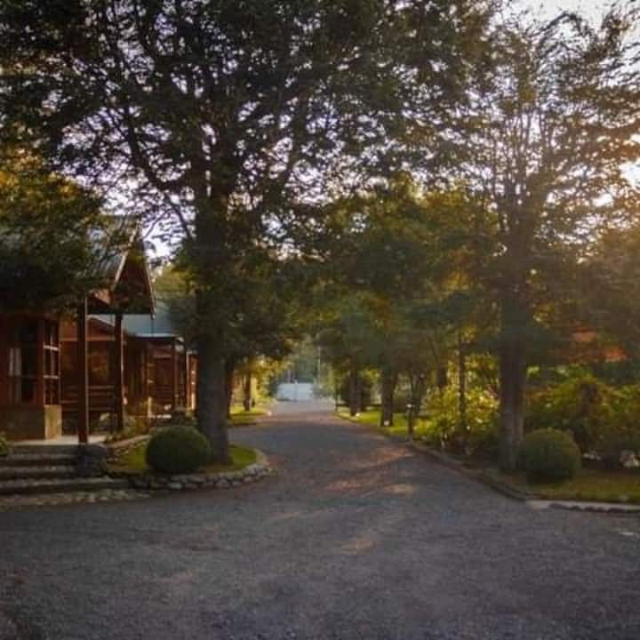 Cabañas Las Raíces, Pucon. - Pucón